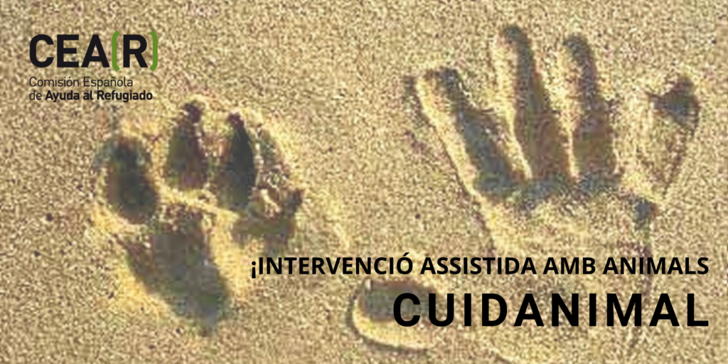 Cuidanimal: Cuida't Cuida'l. - CEAR País Valencià